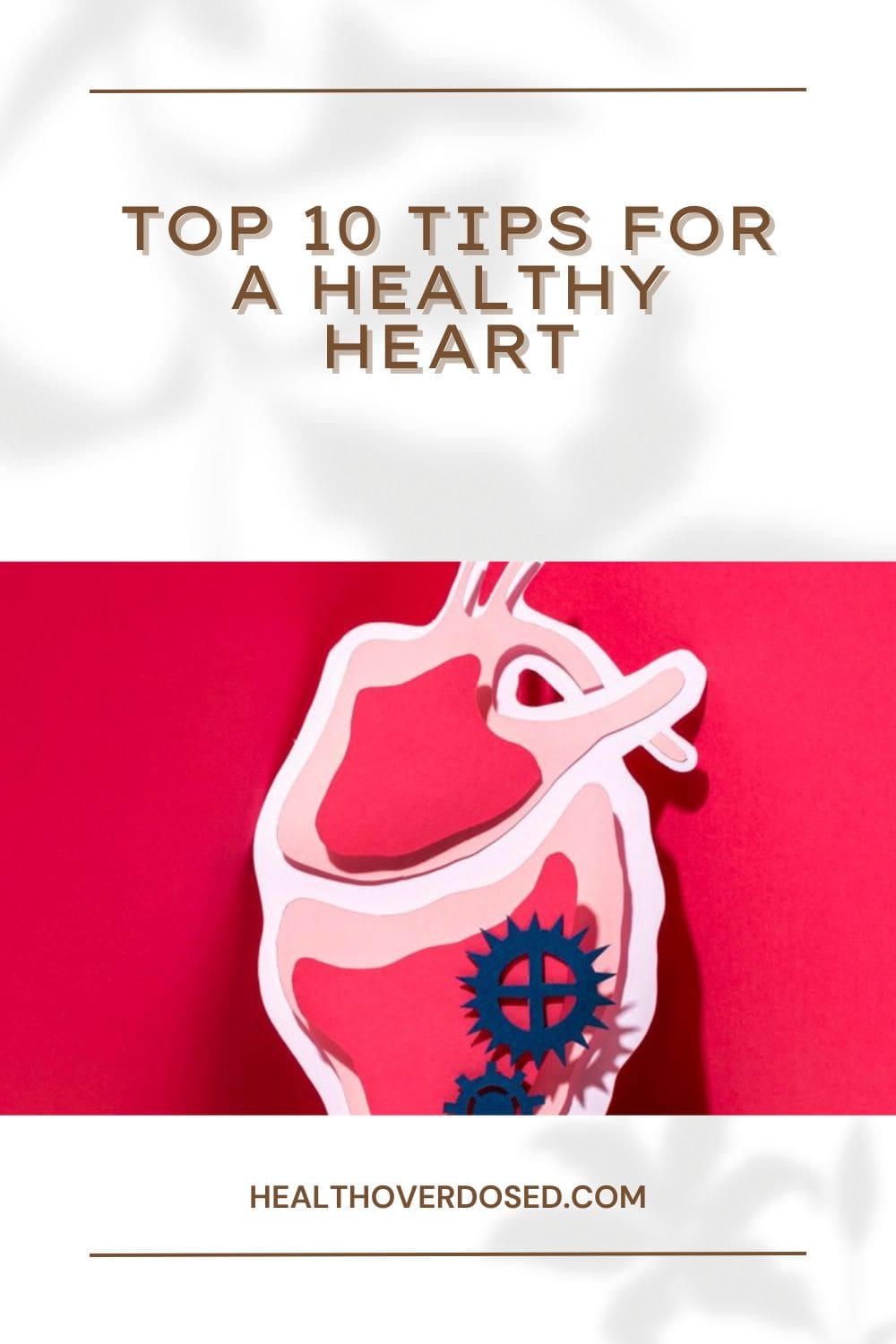 Top 10 Tips for a Healthy Heart: How to Protect Your Most Vital Organ